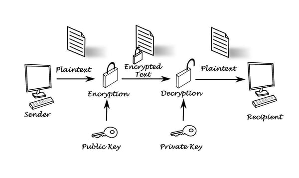 Understanding Public and Private Keys: The Foundation of Digital Security